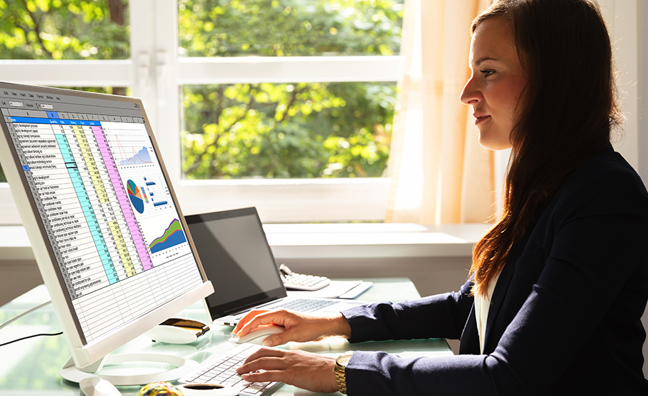 Online Certified Internal Auditor with Microsoft Excel from Everett ...